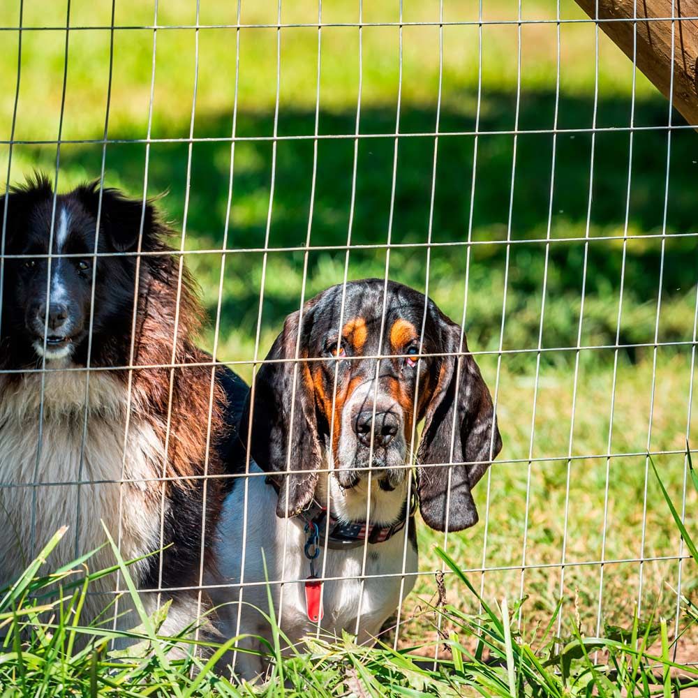 Wire Mesh & Netting - Mid Continent Steel and Wire